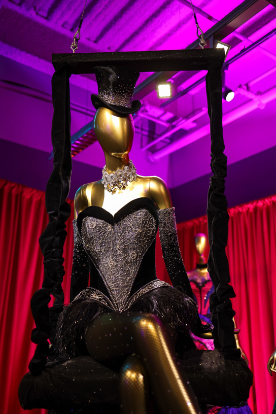 Step Inside the Dazzling Showstoppers! Spectacular Costumes From Stage ...