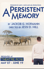A Persistent Memory Tickets | Broadway.com