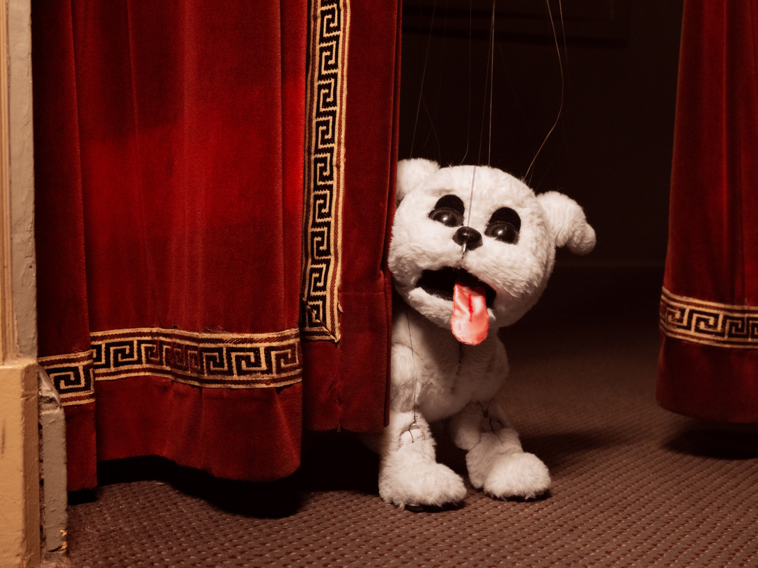 Presenting Pudgy, BOOP's Paws-itively Perfect Puppy Puppet | Broadway ...